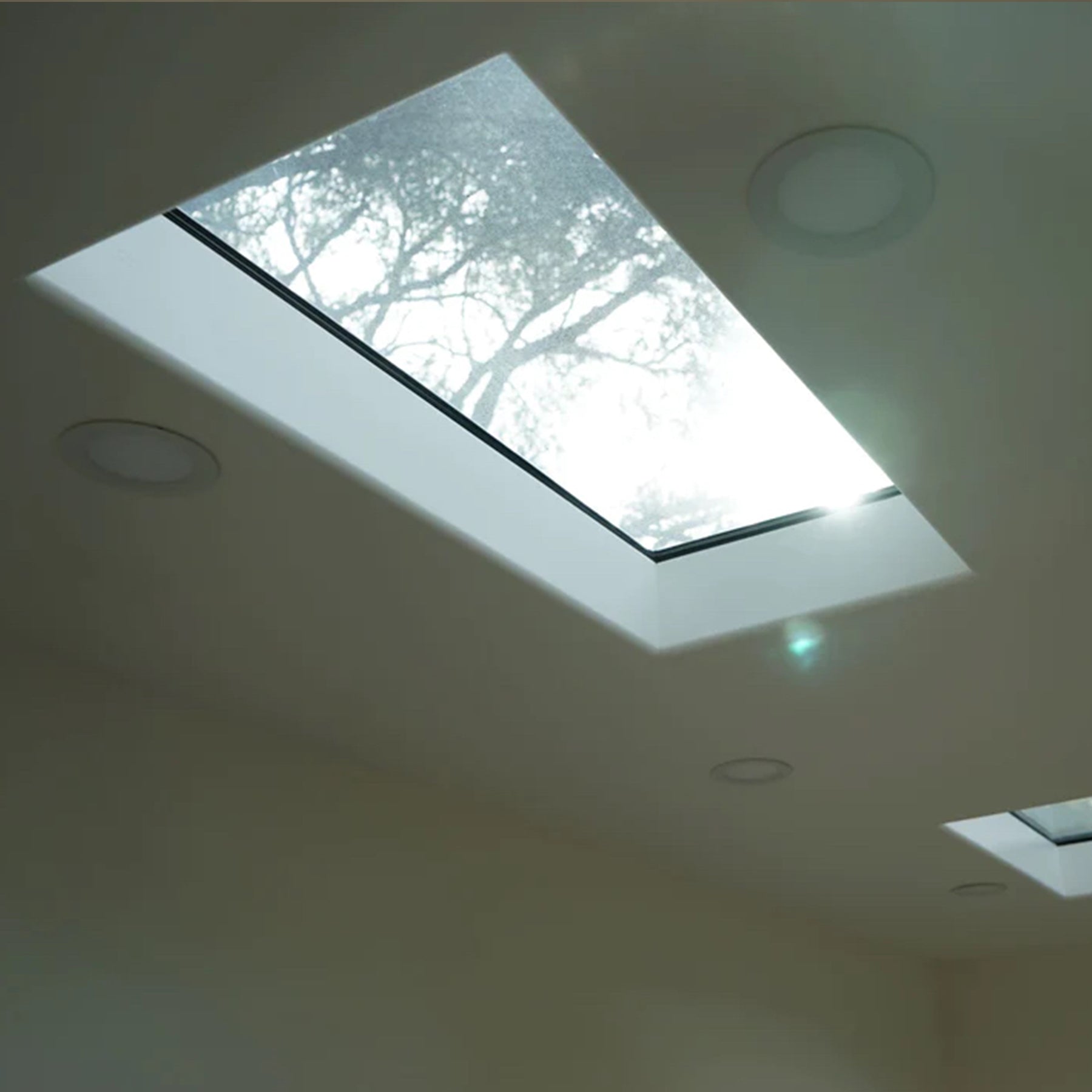 Flat Glass Container Skylight for sale – Seatrains